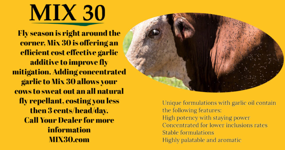 MIX 30 | High Energy Liquid Feed